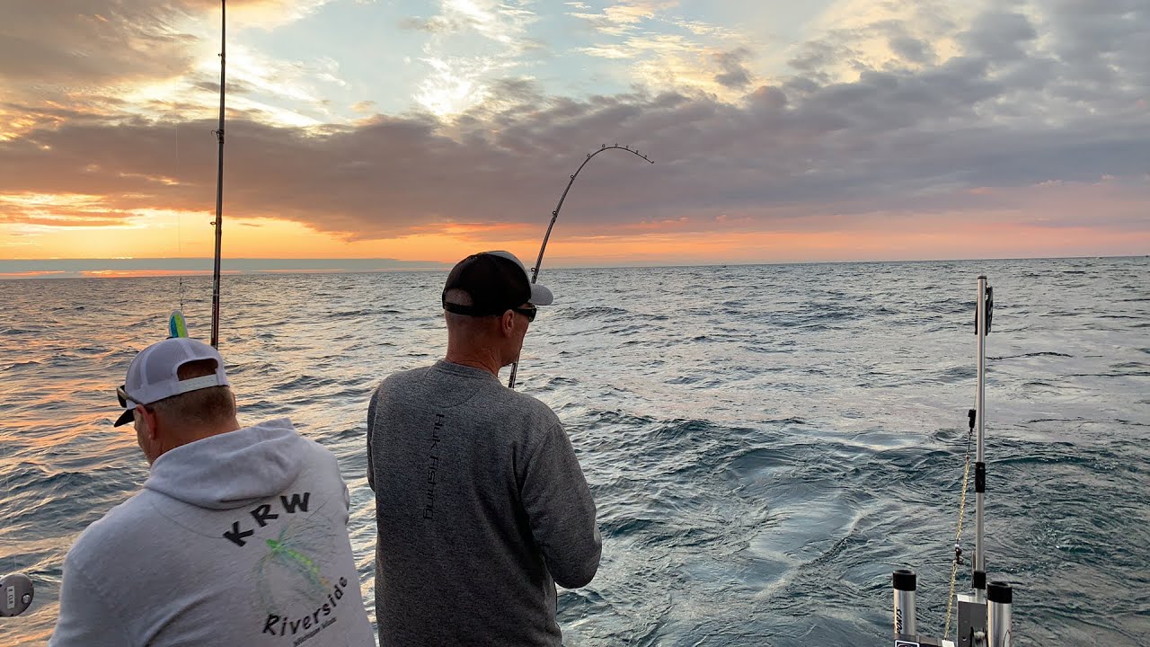 Screamer On! - YouTube