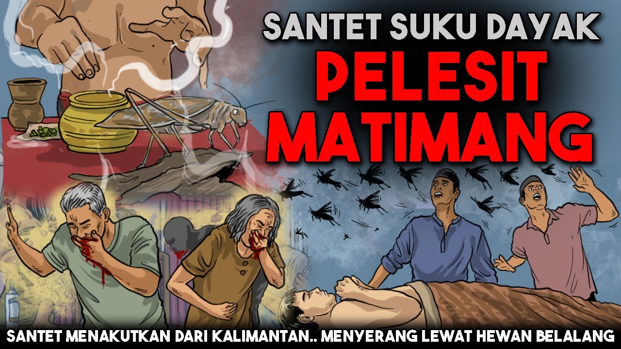 SANTET DARI KALIMANTAN !MENYERANG LEWAT MEDIA HEWAN BELALANG - PELESIT ...