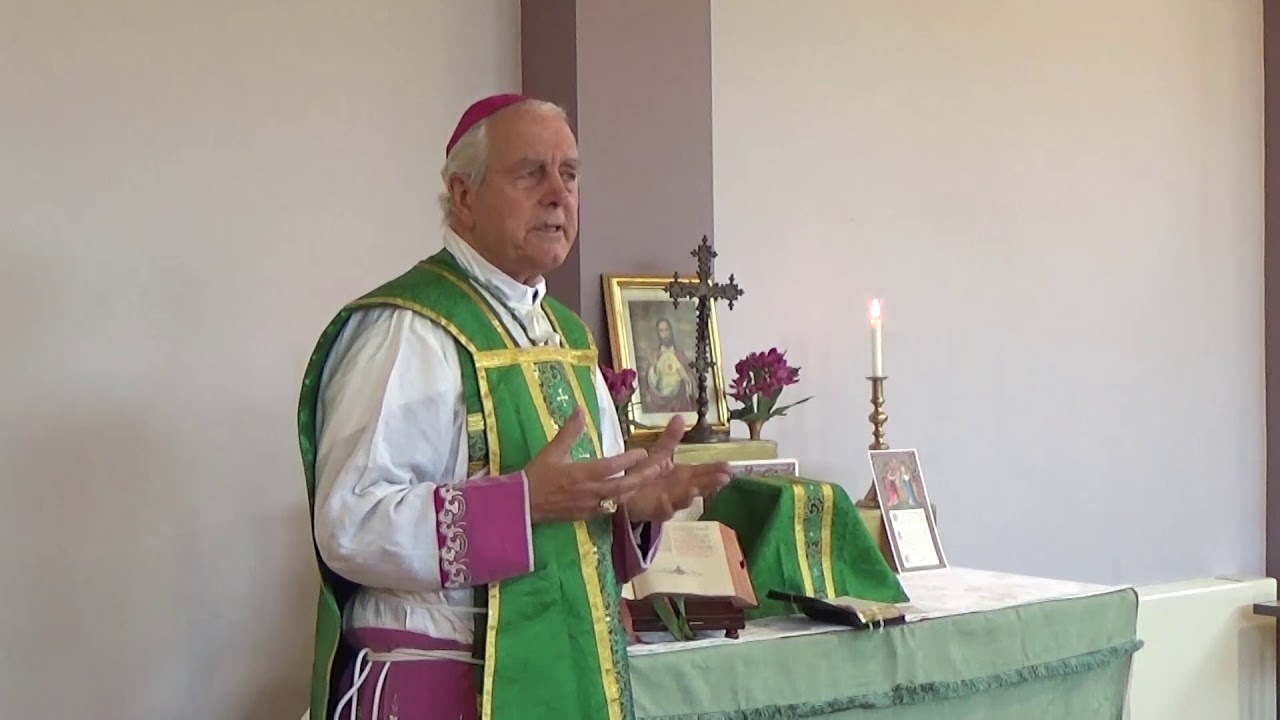 Bishop R Williamson - 6th Sunday After Epiphany - 2018 - YouTube