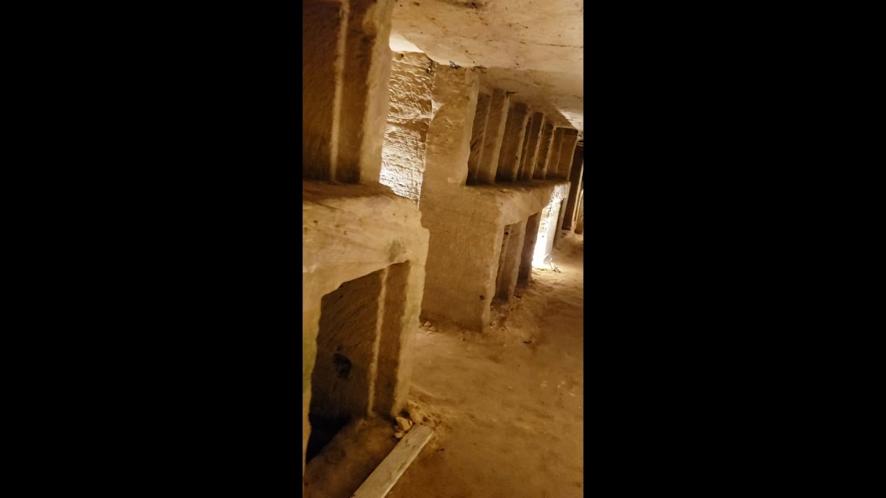 Massive historical burial site found....thanks to a fallen donkey ...