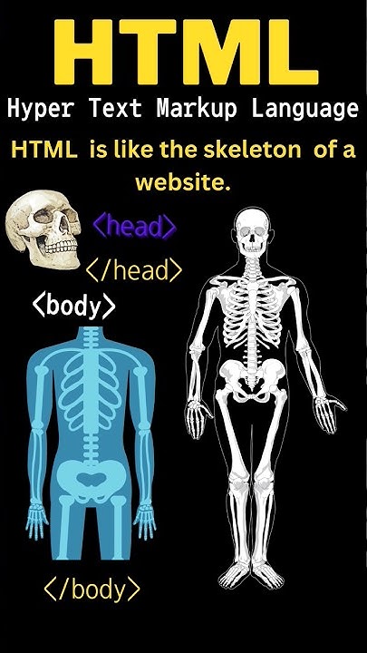 HTML is Like the skeleton of a website #html #htmltutorial #html5 # ...
