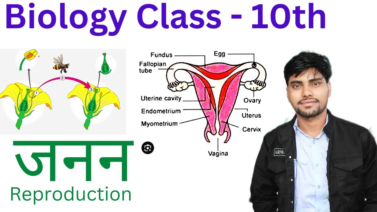 Class-10th bio chapter -6 Reproduction (जनन) - YouTube