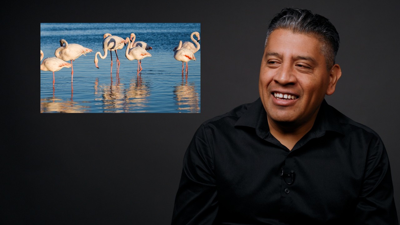 Biologist explains animal dynamics in 101 seconds | 101 in 101 - YouTube