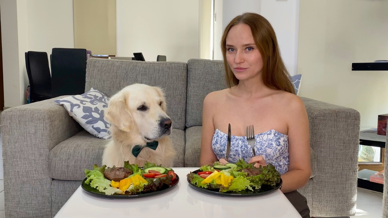 Burger Eating Competition: Golden Retriever Dog vs. Owner - YouTube