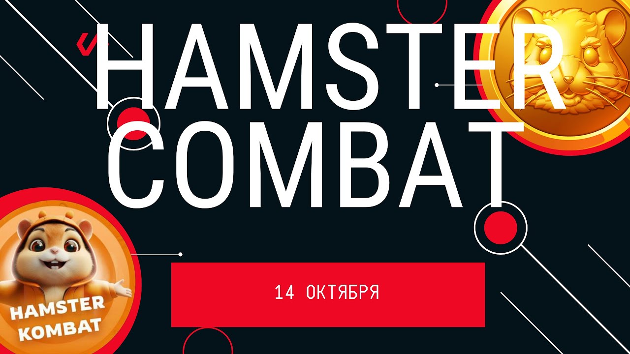 HAMSTER COMBAT 14 октября - ОБЗОР - КУРС - YouTube