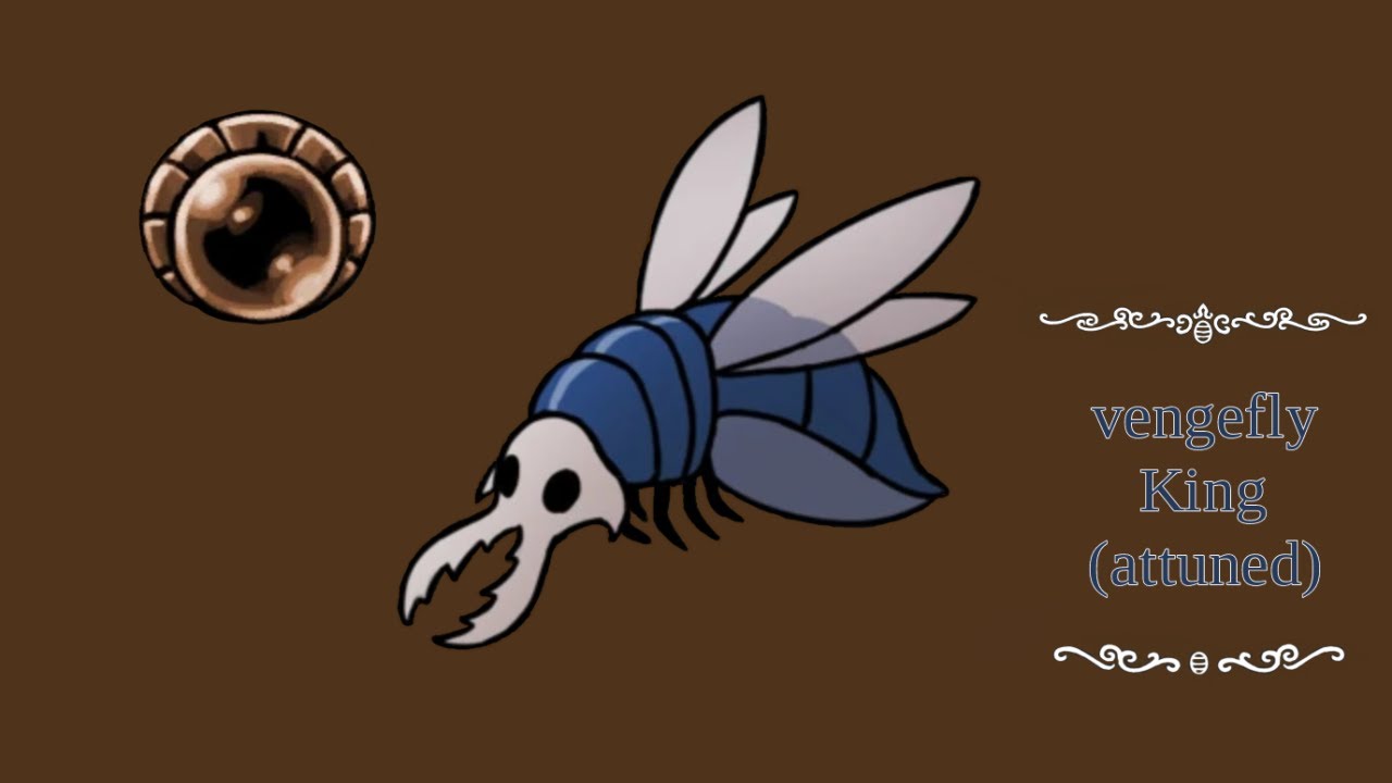 Hollow Knight- Vengefly King (attuned) Hall of Gods - YouTube