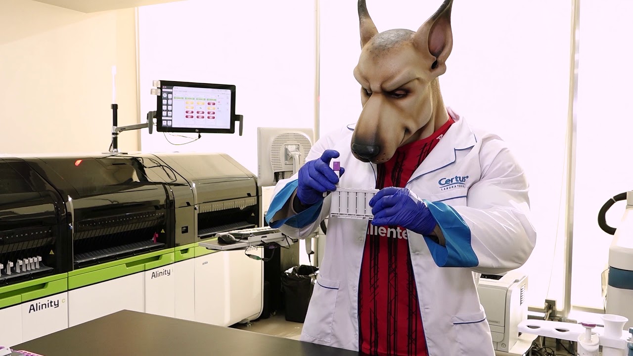 El Xolo Mayor en Certus Laboratorio - YouTube