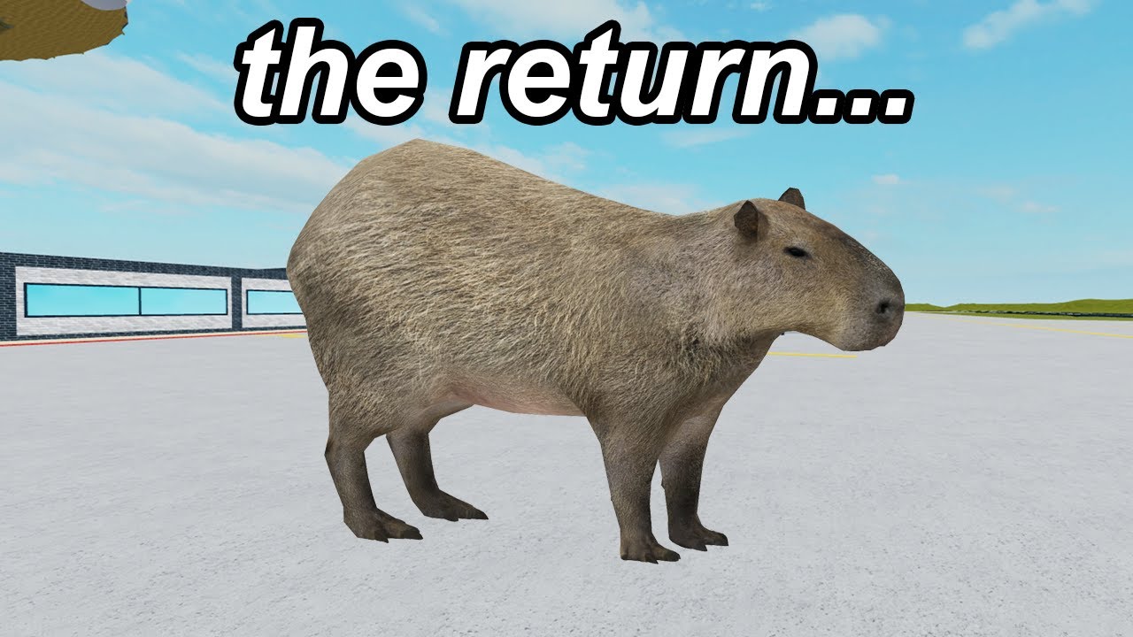 Capybara return (plane crazy) - YouTube