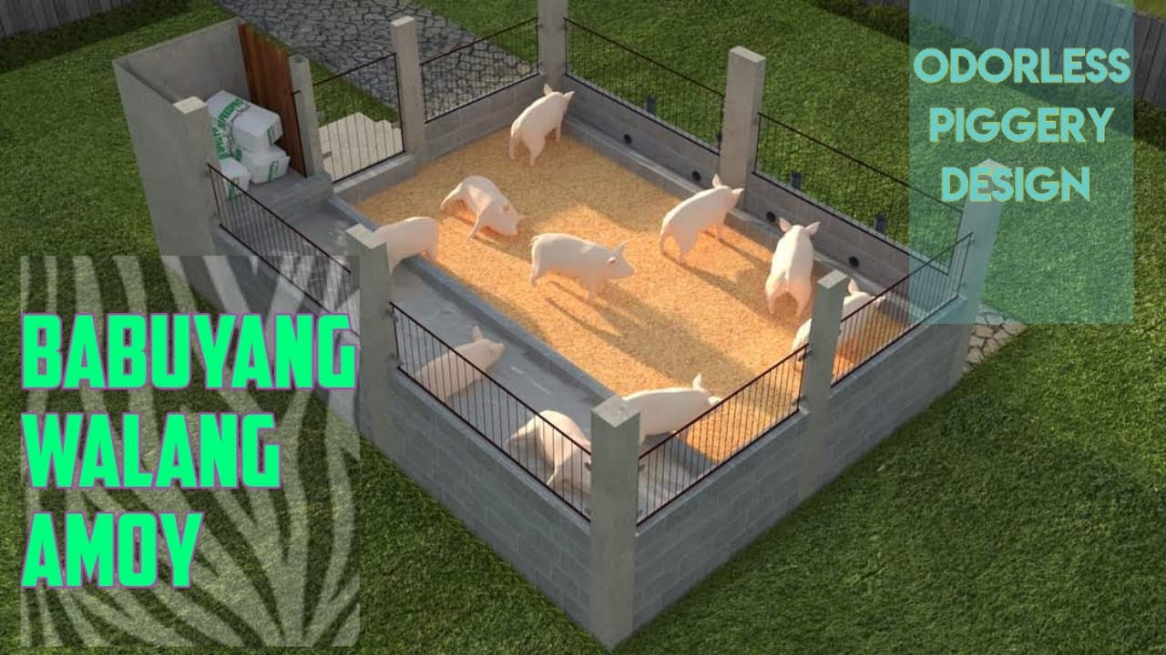 ODORLESS PIGGERY DESIGN - ORGANIC HOG PRODUCTION #farmingvideos # ...