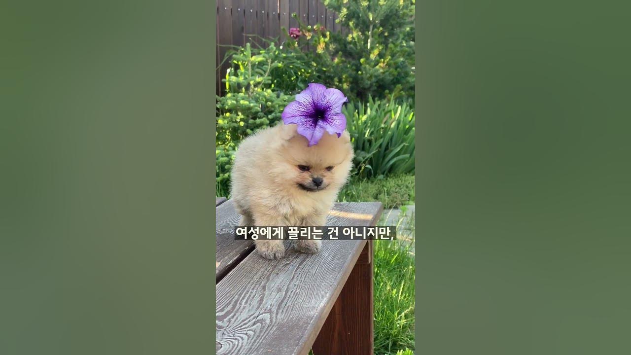 남자들이 매력적인 여성에게 끌리는 이유 Feat 과학적 근거 남자 여자 매력 이성 연애 썸 끌림 과학적근거 쇼츠 유튜브 틱톡 인스타 Youtube