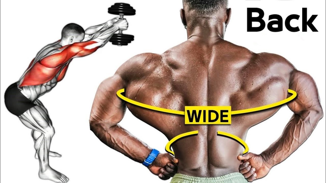 The Back Exercises You're Missing – Build Strong Lower, Middle & Upper ...