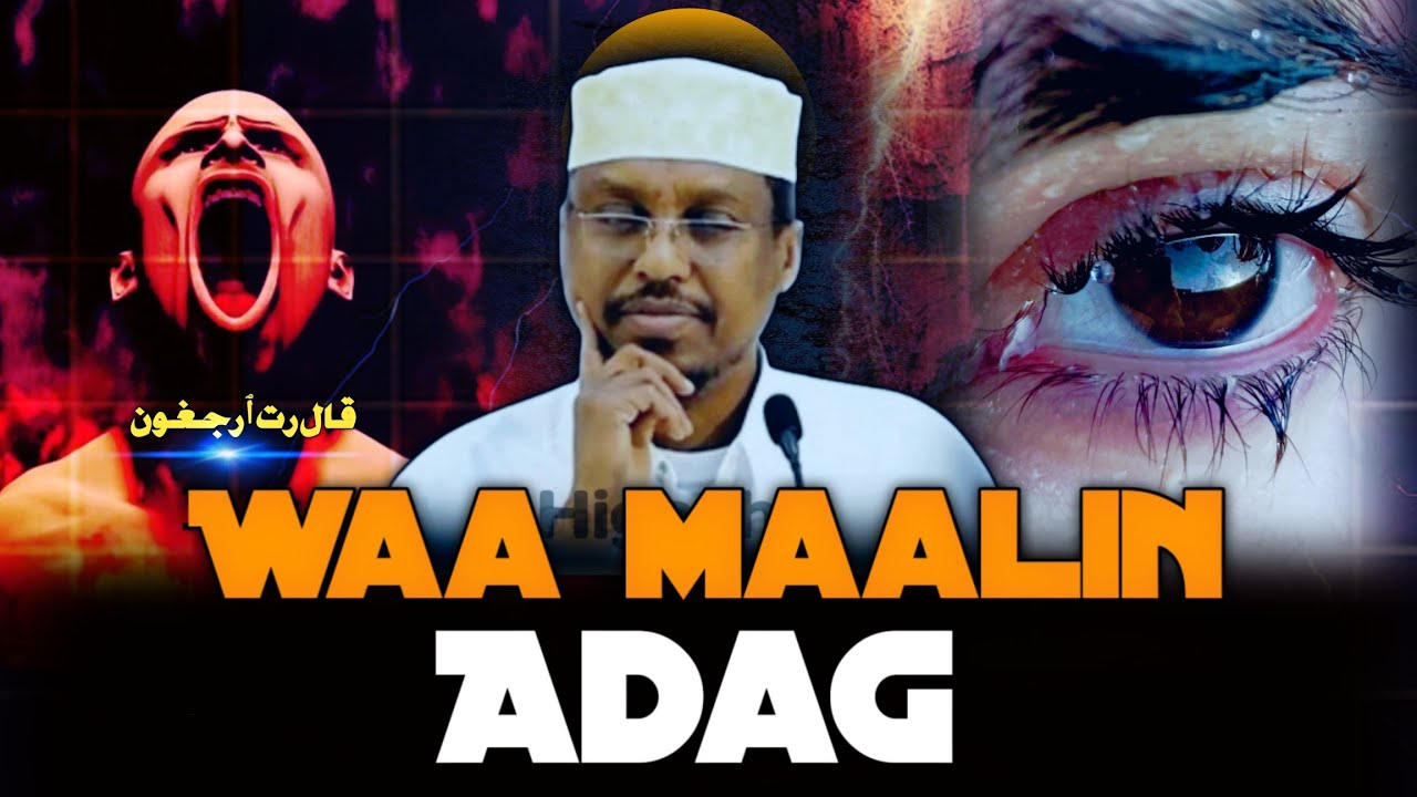 Muxaadaro Waa Maalin Adag | Sheekh Mustafe | Higasho - YouTube