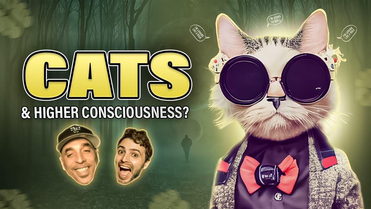 How Cats Achieve Higher Consciousness? A Hilarious Exploration with ...