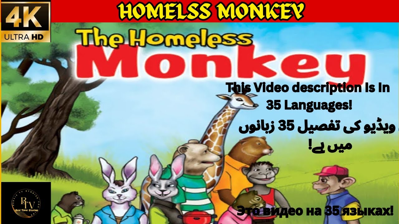 The Homeless Monkey: A Story of Survival and Hope - YouTube