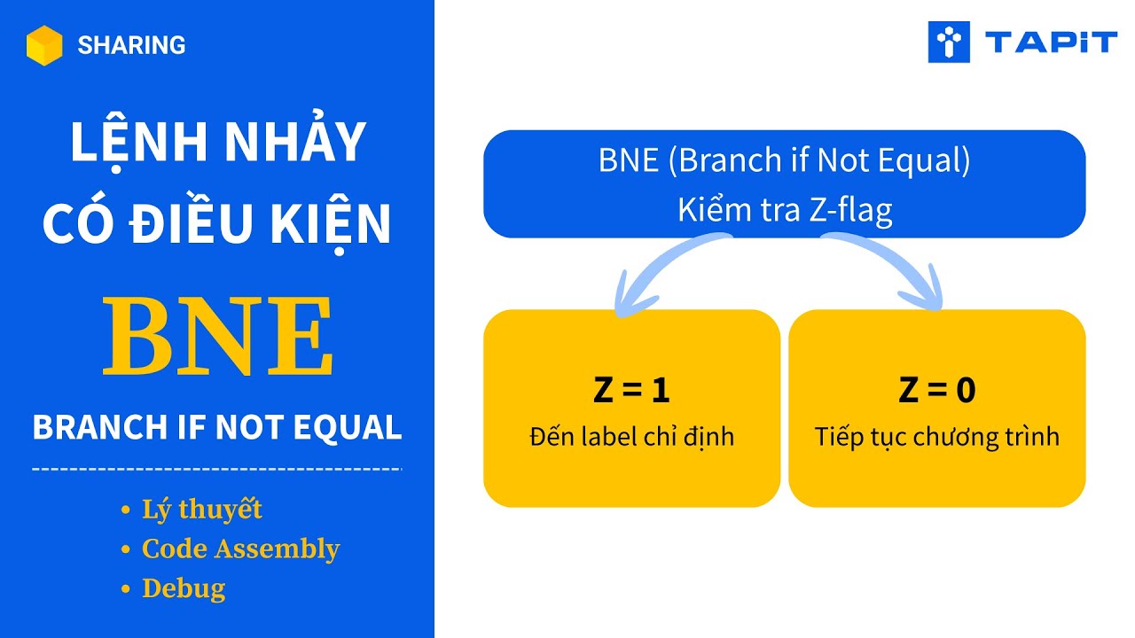 Lệnh nhảy có điều kiện BNE - Branch if Not Equal trong Assembly, ví dụ ...