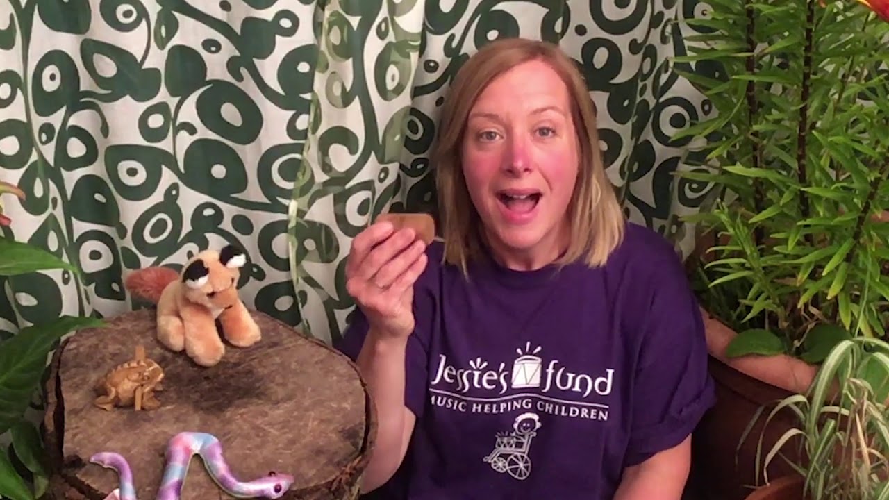 Jessie's Fund - Forest: a gentle exploration - interactive sensory ...
