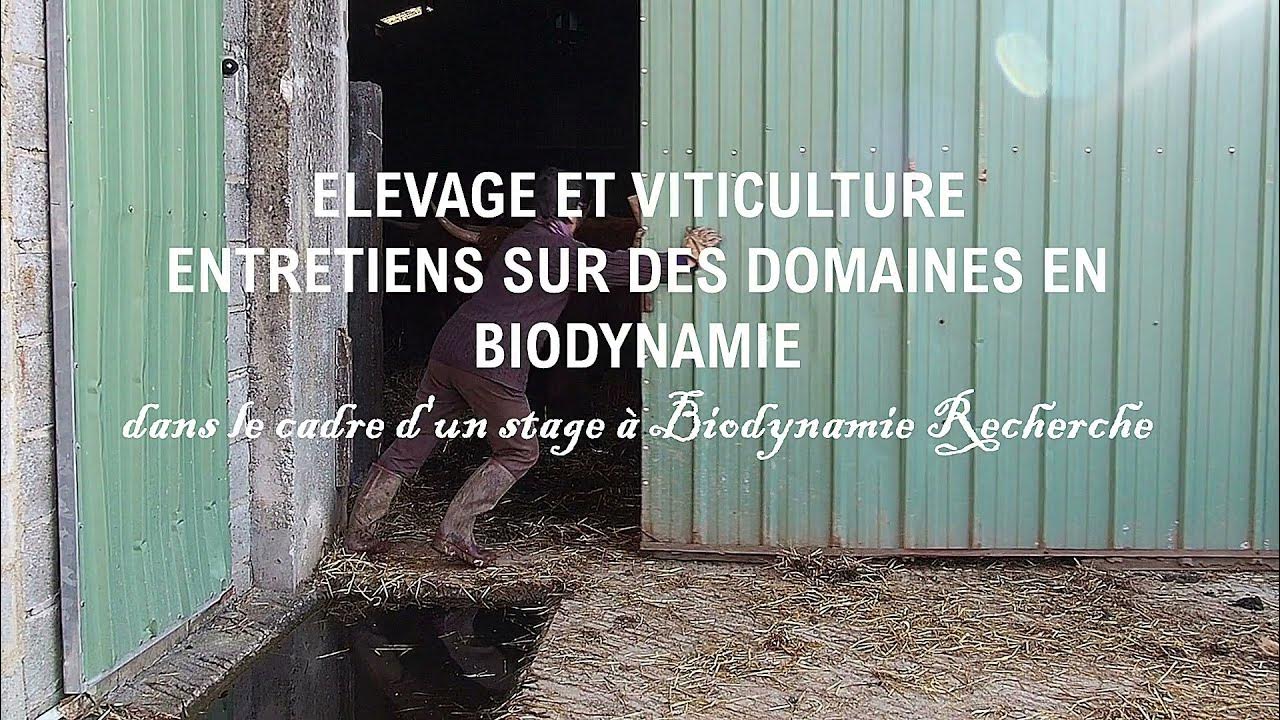 Enquête sur l'organisme agricole en biodynamie - YouTube