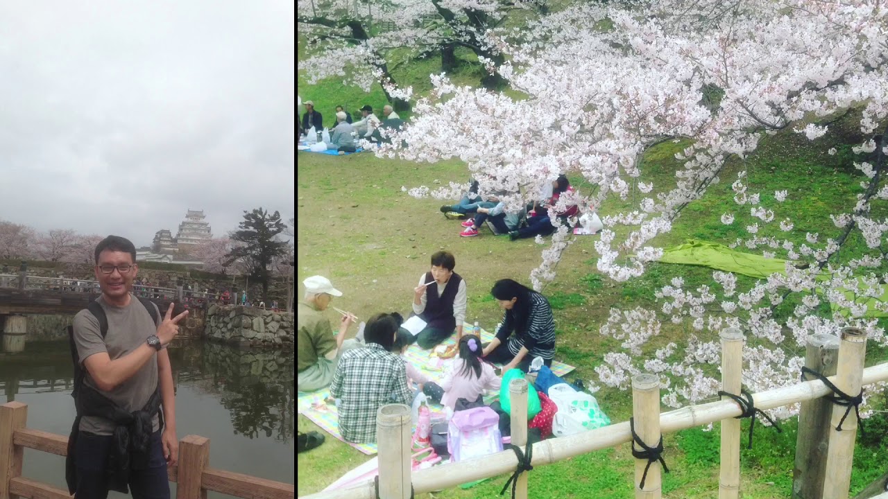 Okasan : Lovely day in Himeji, spring and Autumn, beautiful - YouTube