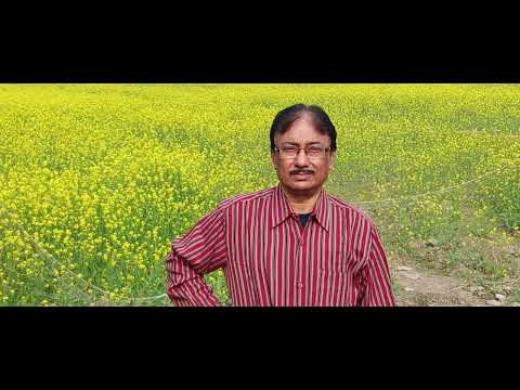 Tum Itna Jo Muskura Rahe Ho | Cover Ashim Nandi | Jagjit Singh