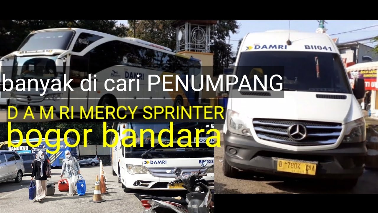 DAMRI MERCY SPRINTER BOGOR BANDARA BANYAK DI CARI PENUMPANG - YouTube