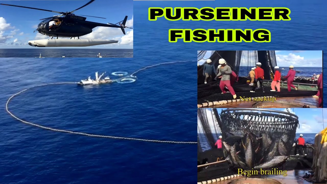 THE AMAZING PURSEINER FISHING IN SOLOMON ISLAND - YouTube