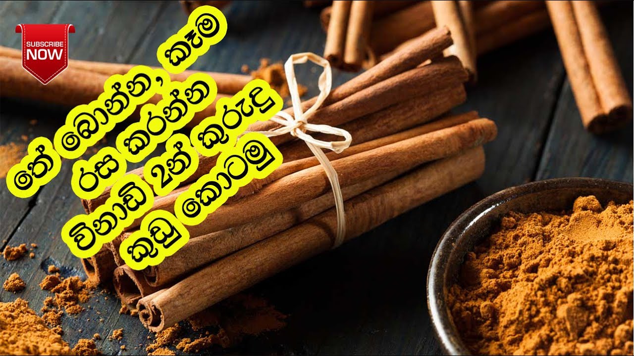 How To Make Cinnamon Powder | Cinnamon Tea | Cinnamon Spices | Kurudu ...