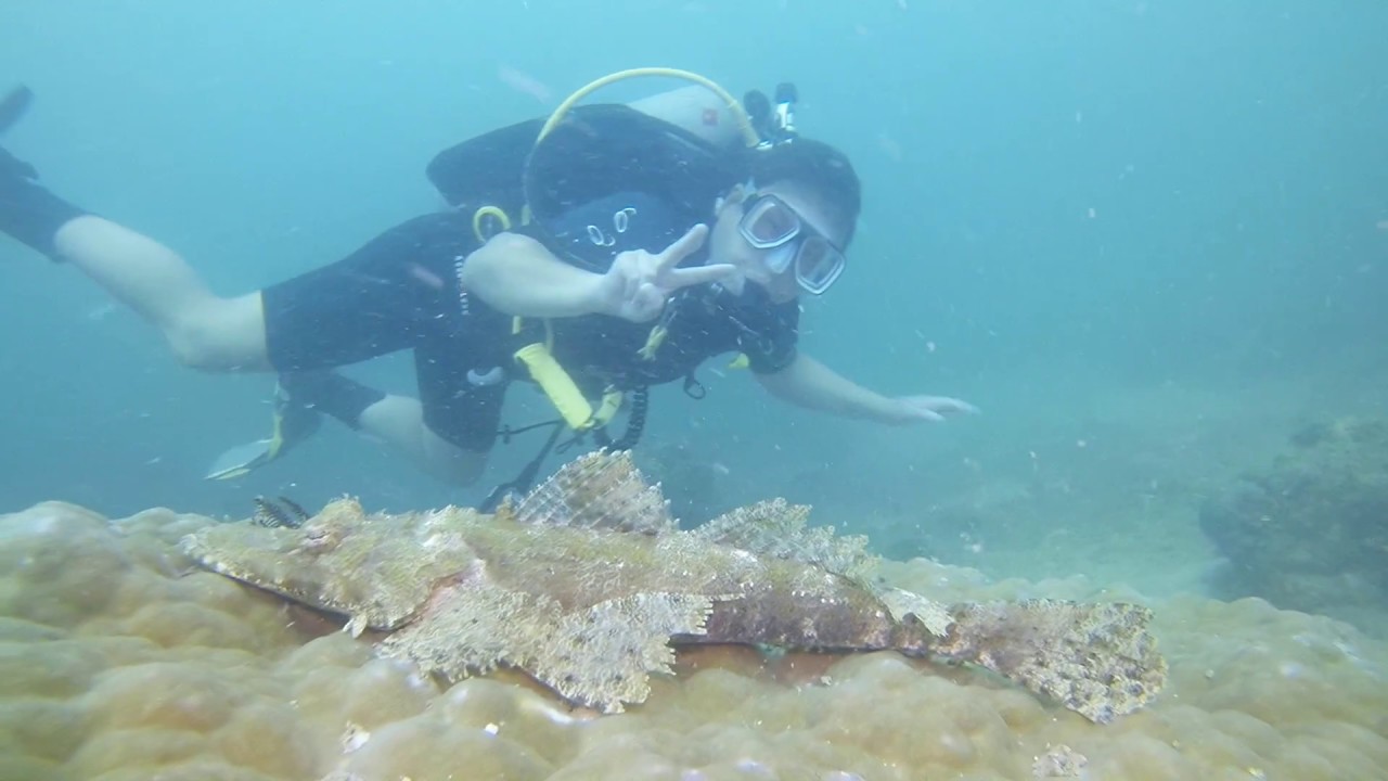 Diving in Derawan Islands - YouTube
