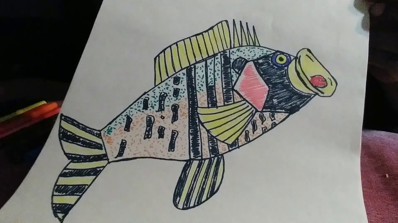 How to draw a Crappie Fish - YouTube