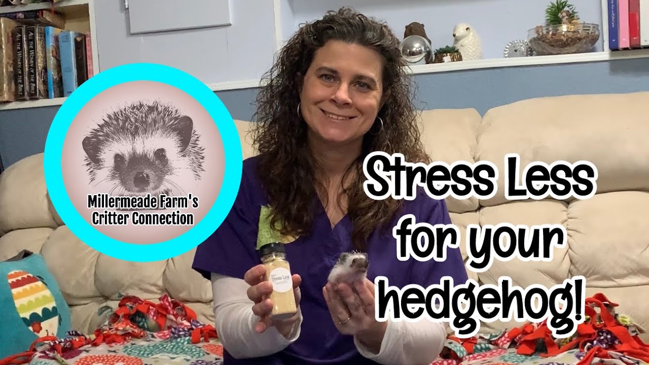 Stress Less for your hedgehog | Not eating | Green poop or diarrhea ...
