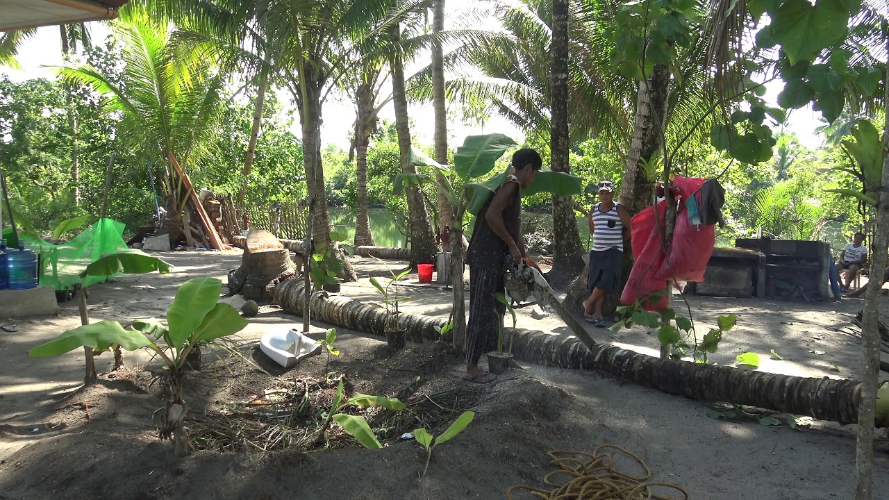 Making lumber from coco palm episode 2 - YouTube