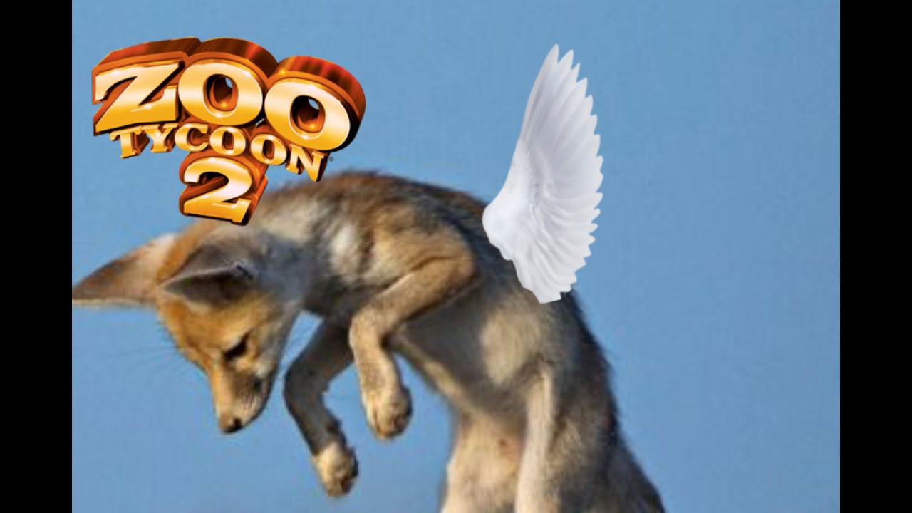 Playing Zoo Tycoon 2 (Flying Fennec Foxes?!?) - YouTube