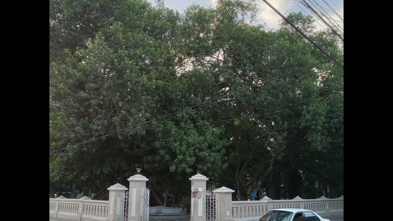 EL CANDÚ .- ( LETRA ) FOLKLÓRICA DE HONDURAS .- ARREGLO : PROF.- RAFAEL RUBIO .- - YouTube