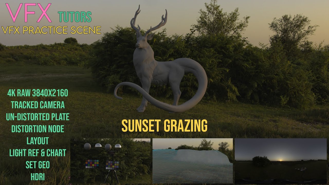 VFX Creature Practice Scene - Sunset Grazing - YouTube