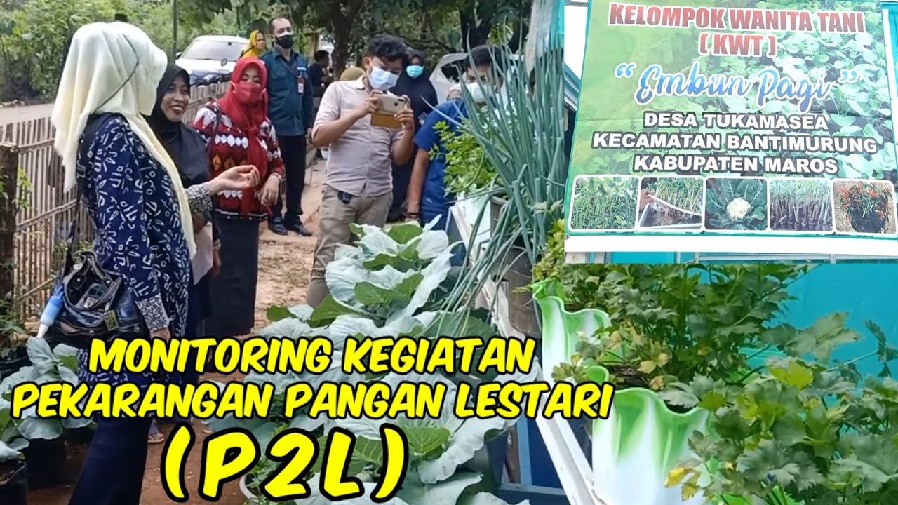 KUNJUNGAN TIM MONITORING P2L BADAN KETAHANAN PANGAN KEMENTAN RI DI ...