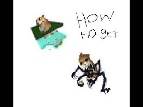 How To Obtain "Collector Chomik" & "Escaped Chomik" in Find The Chomiks ...