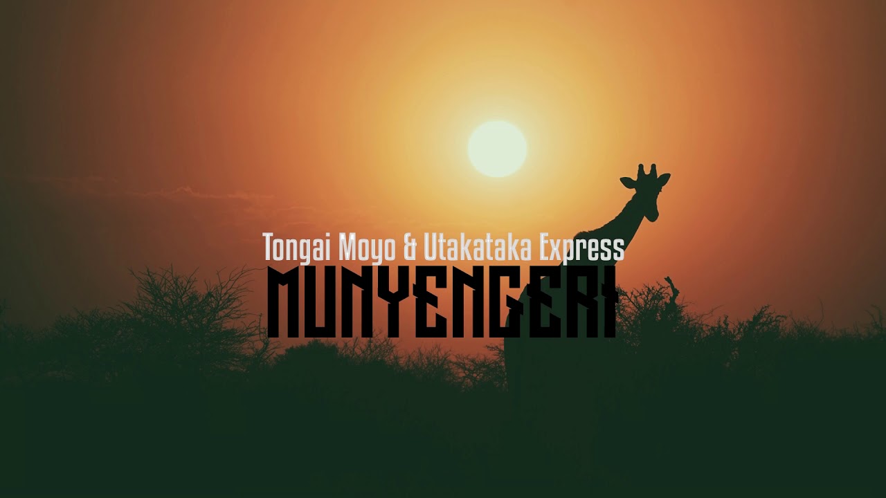 Tongai Moyo - Munyengeri - YouTube