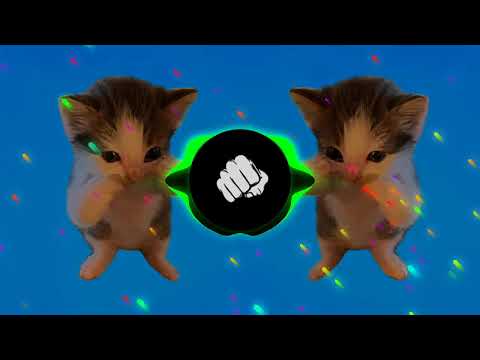DJ KICAU KICAU KICAU MANIA SLOW VIRAL TIKTOK FULL SONG MAMAN FVNDY 2026 