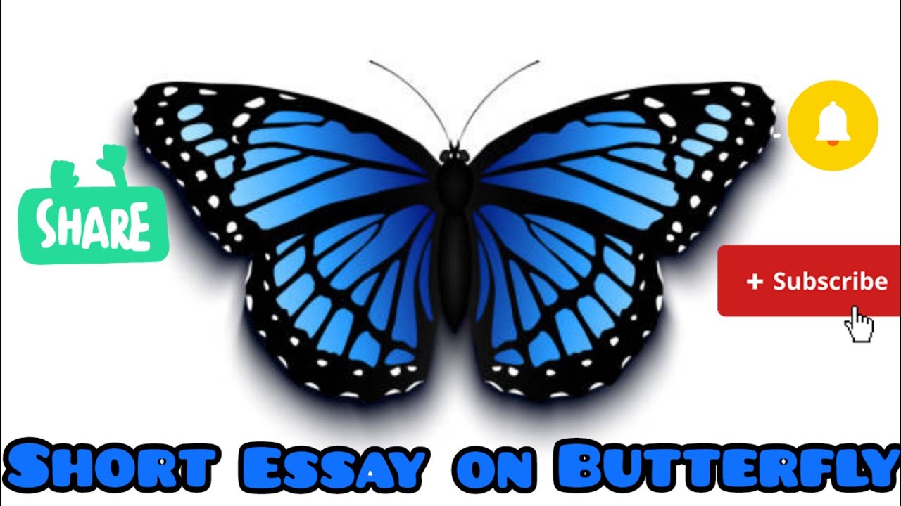 Write a short Essay on "Butterfly"/Short Essay on "Butterfly"/Learn ...