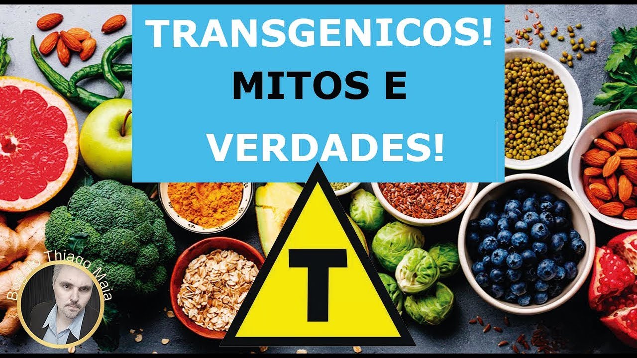 Transgênicos: Organismos Geneticamente Modificados (OGMs) - Mitos e ...