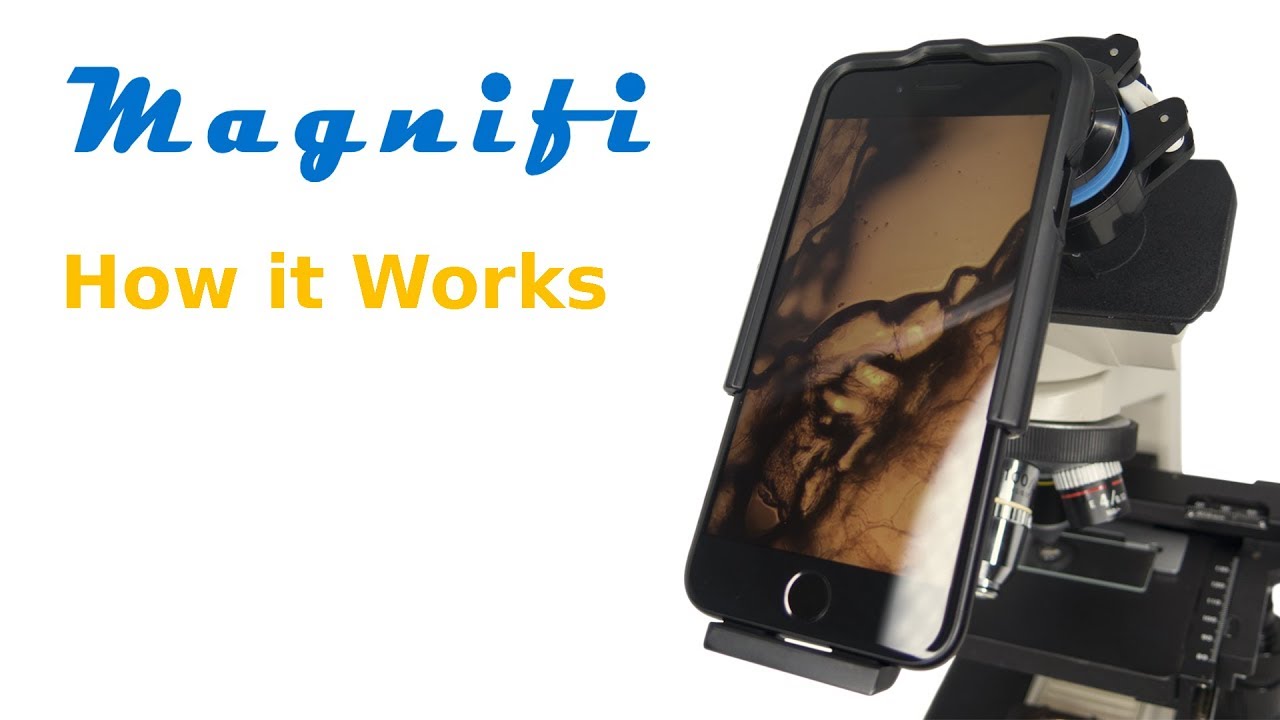 Magnifi: How it Works - YouTube