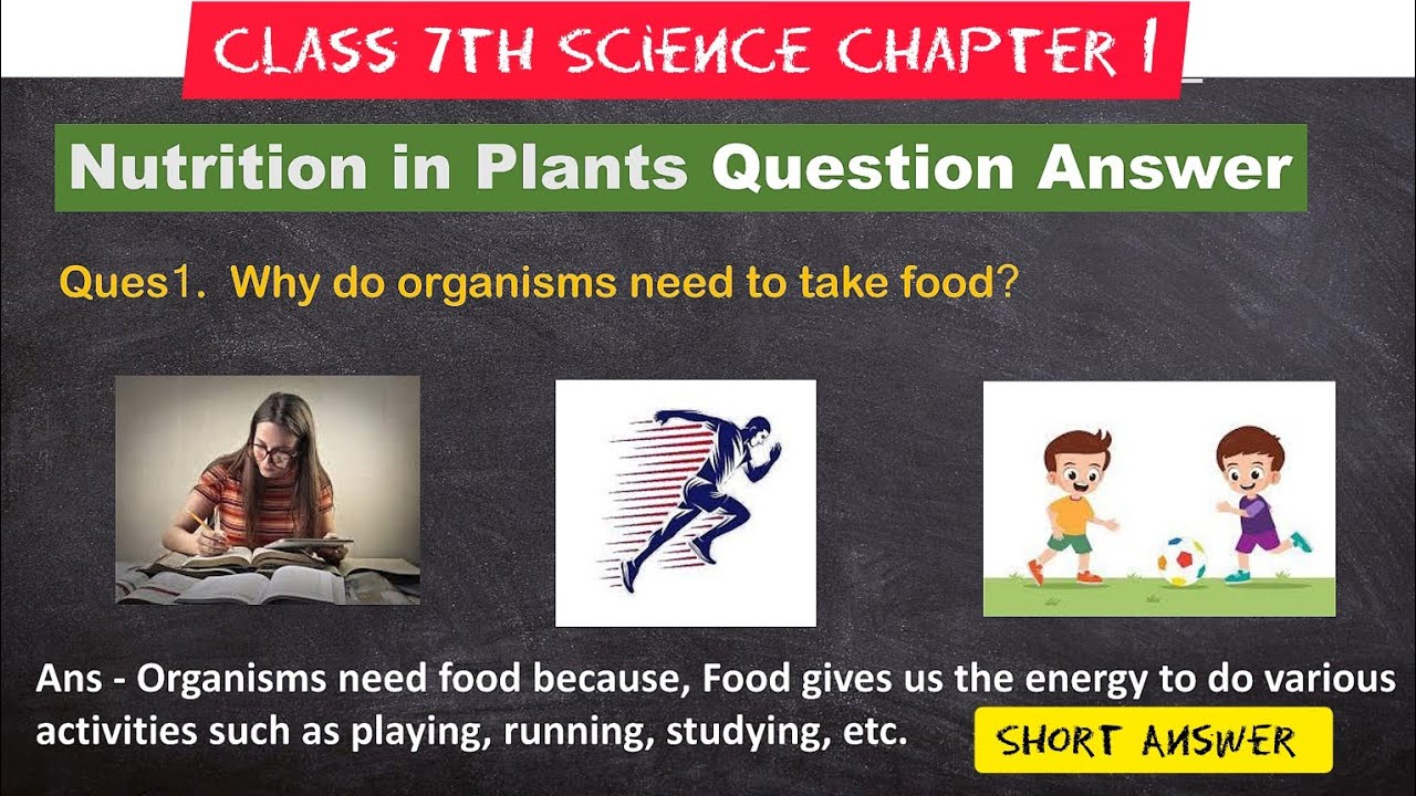class 7 science chapter 1 question answer/ Nutrition in plant Science ...