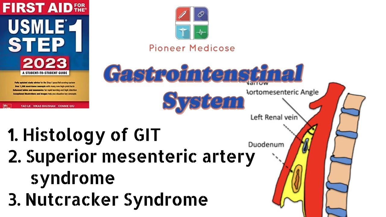Anatomy Of Git From First Aid Step 1 Part 2 Usmle Urdu Hindi Youtube