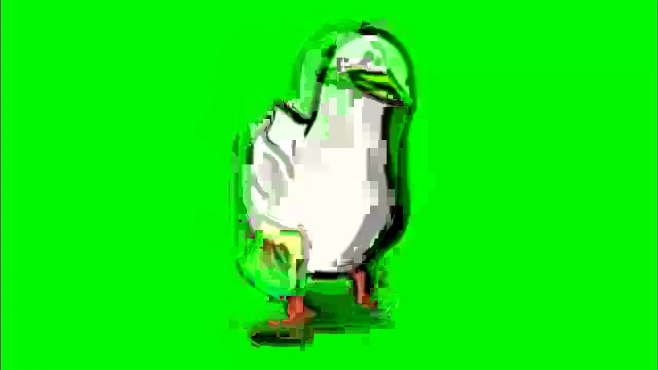 Patito Caminando (Pantalla verde) - YouTube
