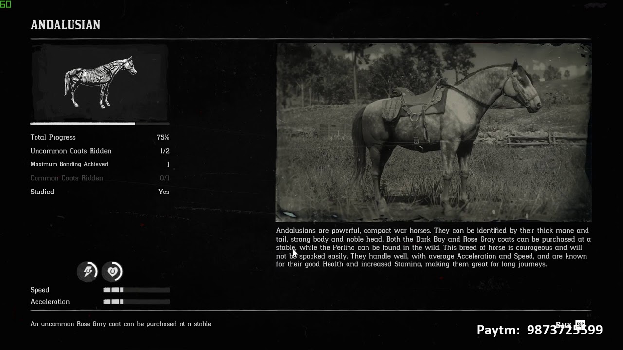 RDR2 story NEW UPDATE HORSE Perlino ANDALUSIAN - YouTube
