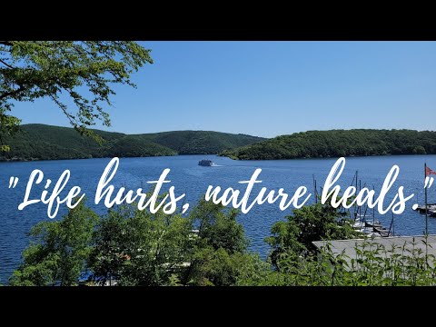 Life Hurts, Nature Heals||#1 #nature #naturelovers #walkthrough ...