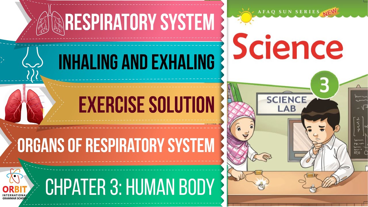 Respiratory System | Science Grade 3 | Afaq sun series - YouTube