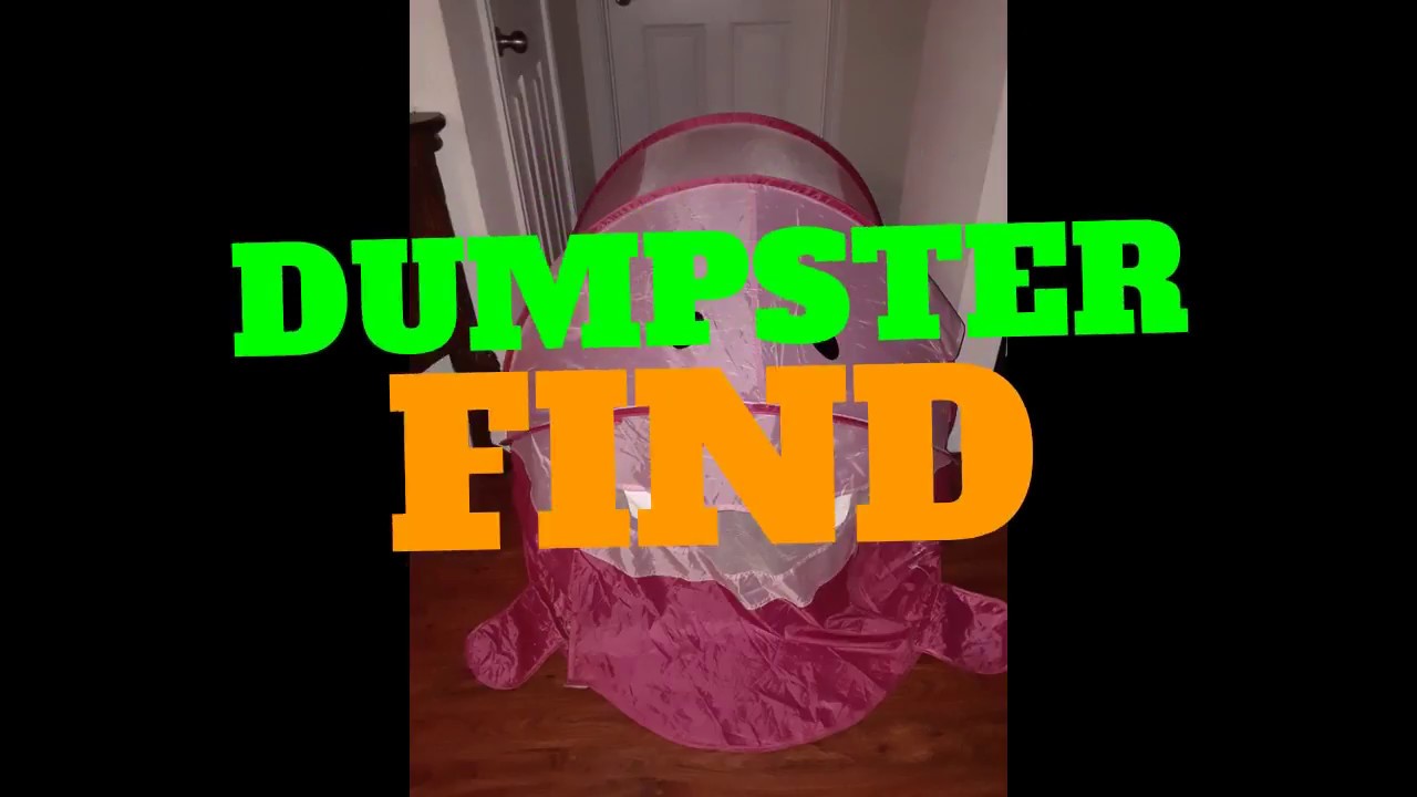 FUN DUMPSTER FIND - YouTube