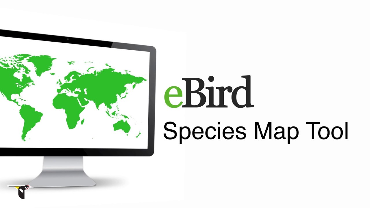 Explore Species Maps - eBird Essentials - YouTube