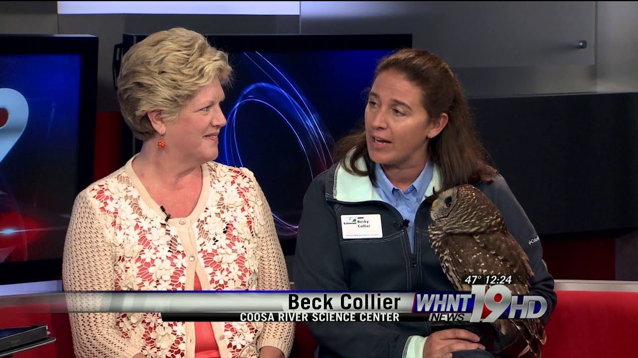 WHNT News 19 at Noon (Recorded Apr 19, 2013, WHNTDT) - YouTube