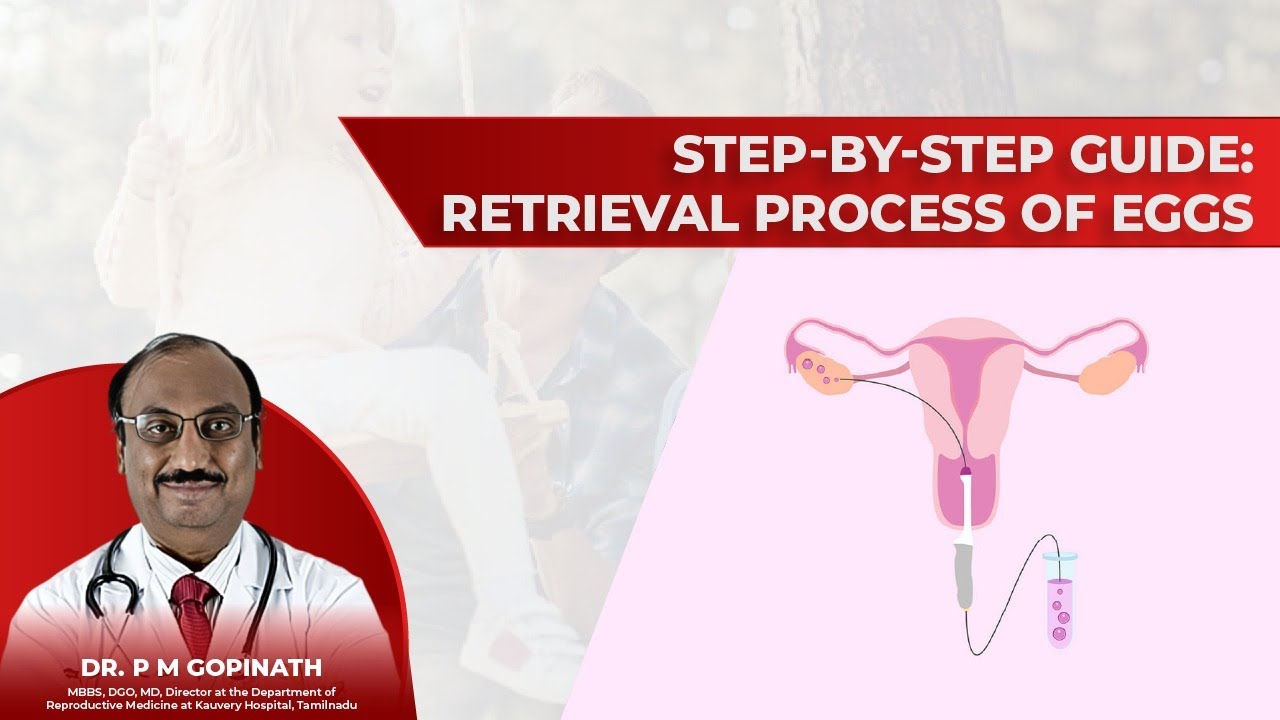Step-by-Step Guide: Retrieval Process of Eggs- Dr. P M Gopinath - YouTube